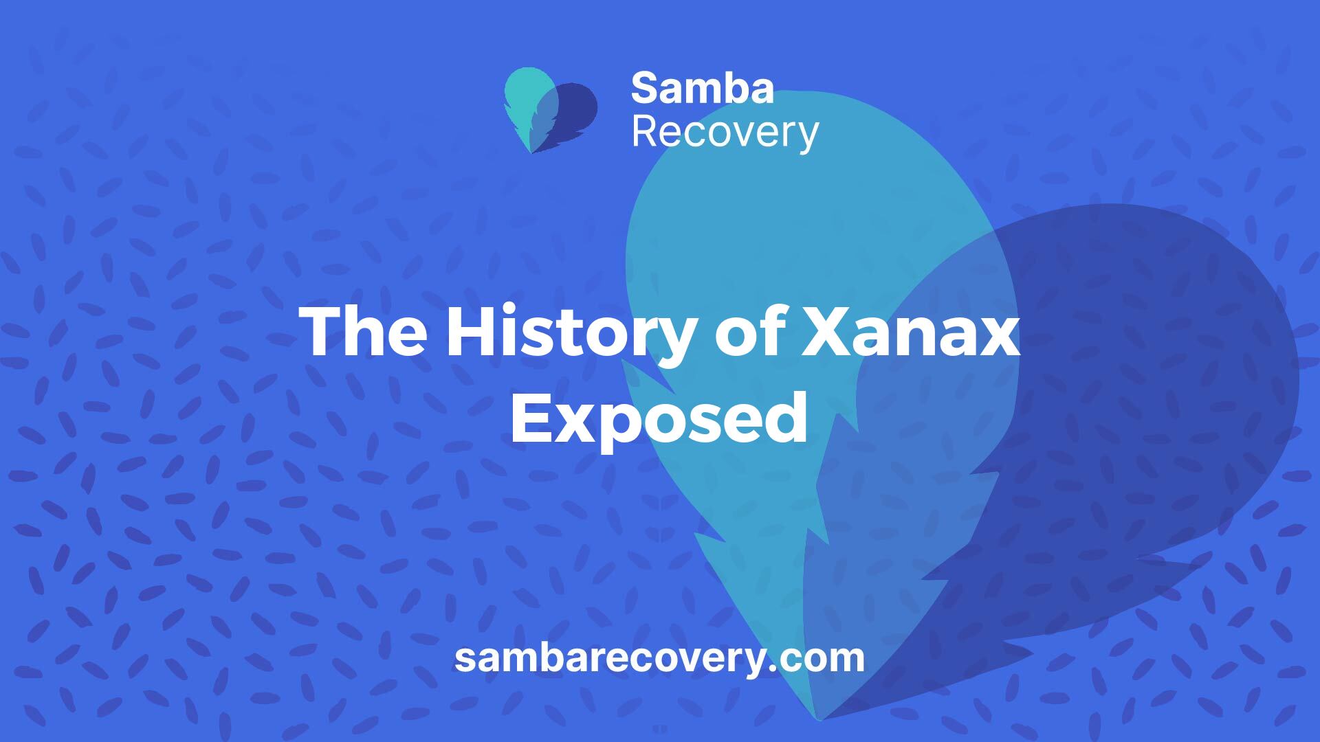 The History of Xanax Exposed - Samba Recovery
